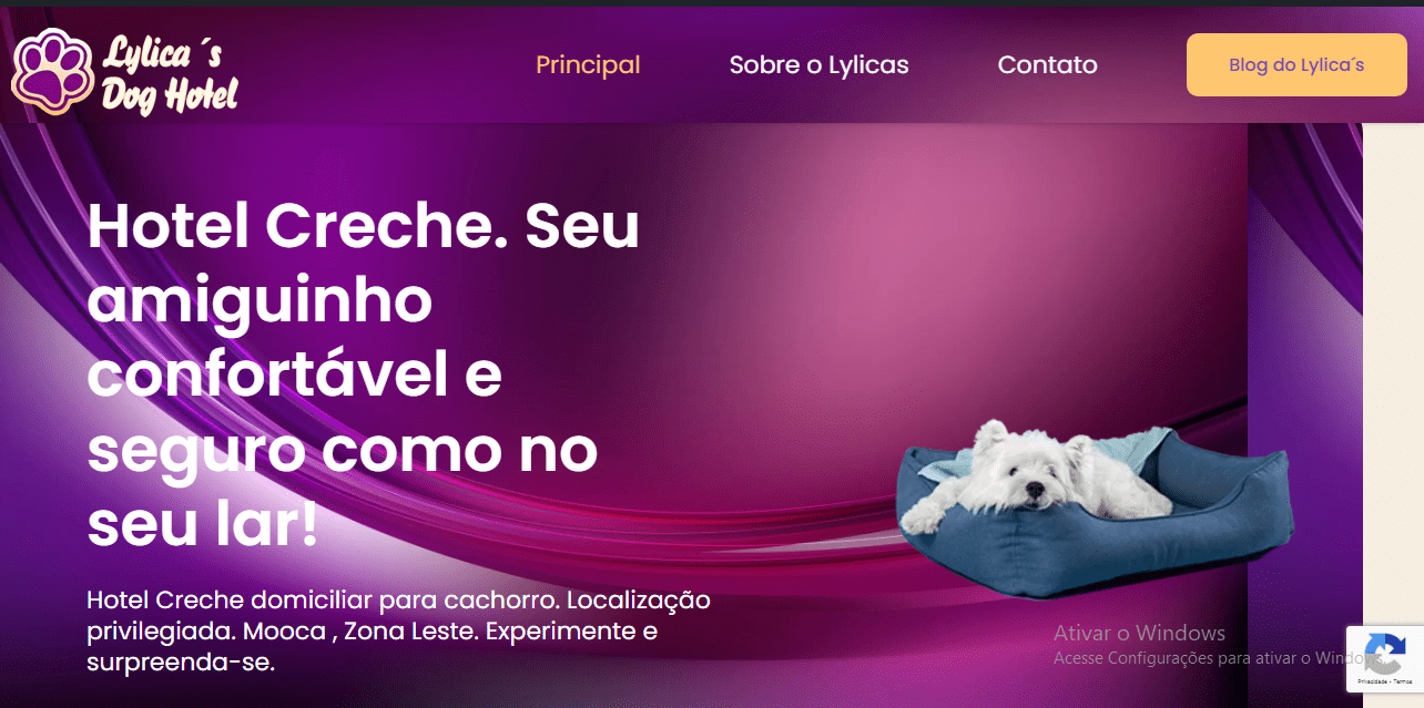 Hotel Creche para Cachorro Mooca - Lylicas Dog Hotel